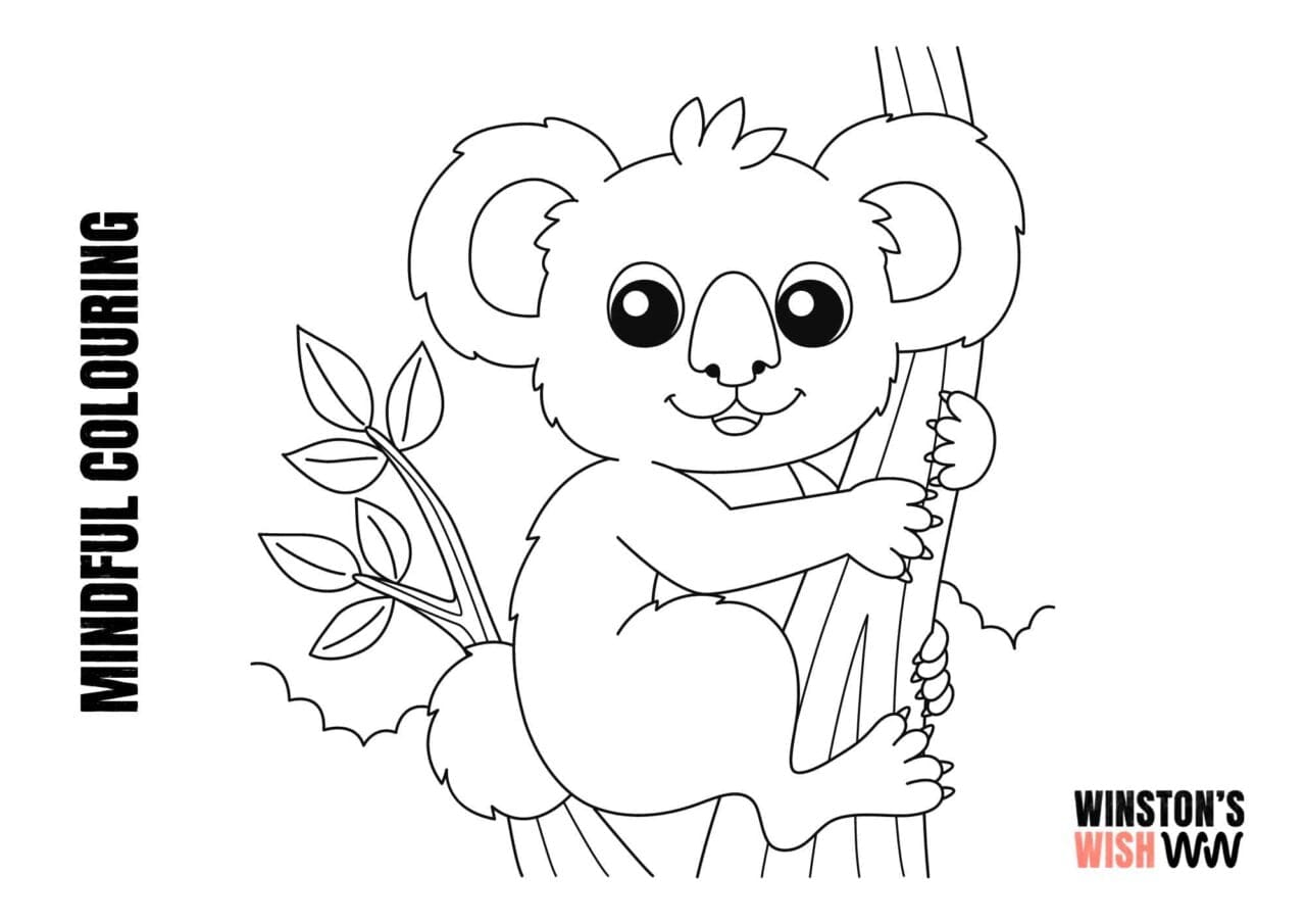 Mindful colouring activity to help with grief | Winston's Wish