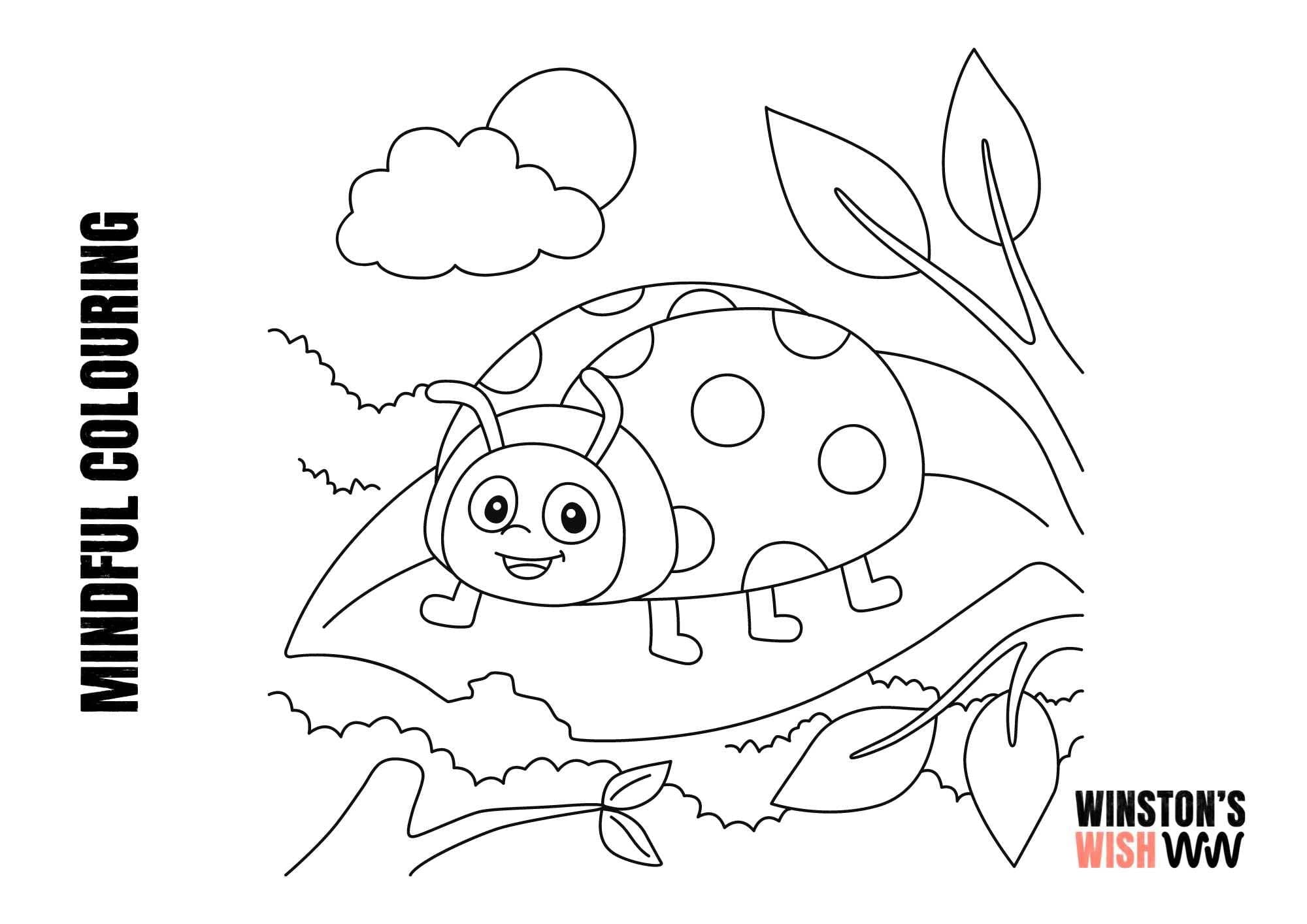 Mindful colouring activity to help with grief | Winston's Wish